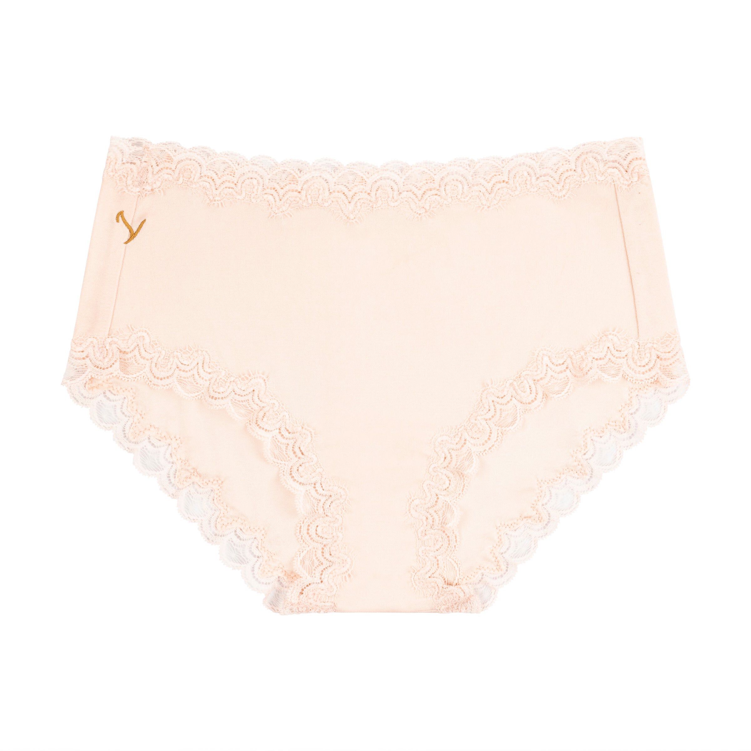 Niki Soft Silk Brief | Dia & Co
